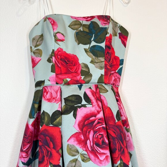BHLDN | Dresses | Bhldn Dress Luciana Rose Print Ball Gown Maxi Floral ...